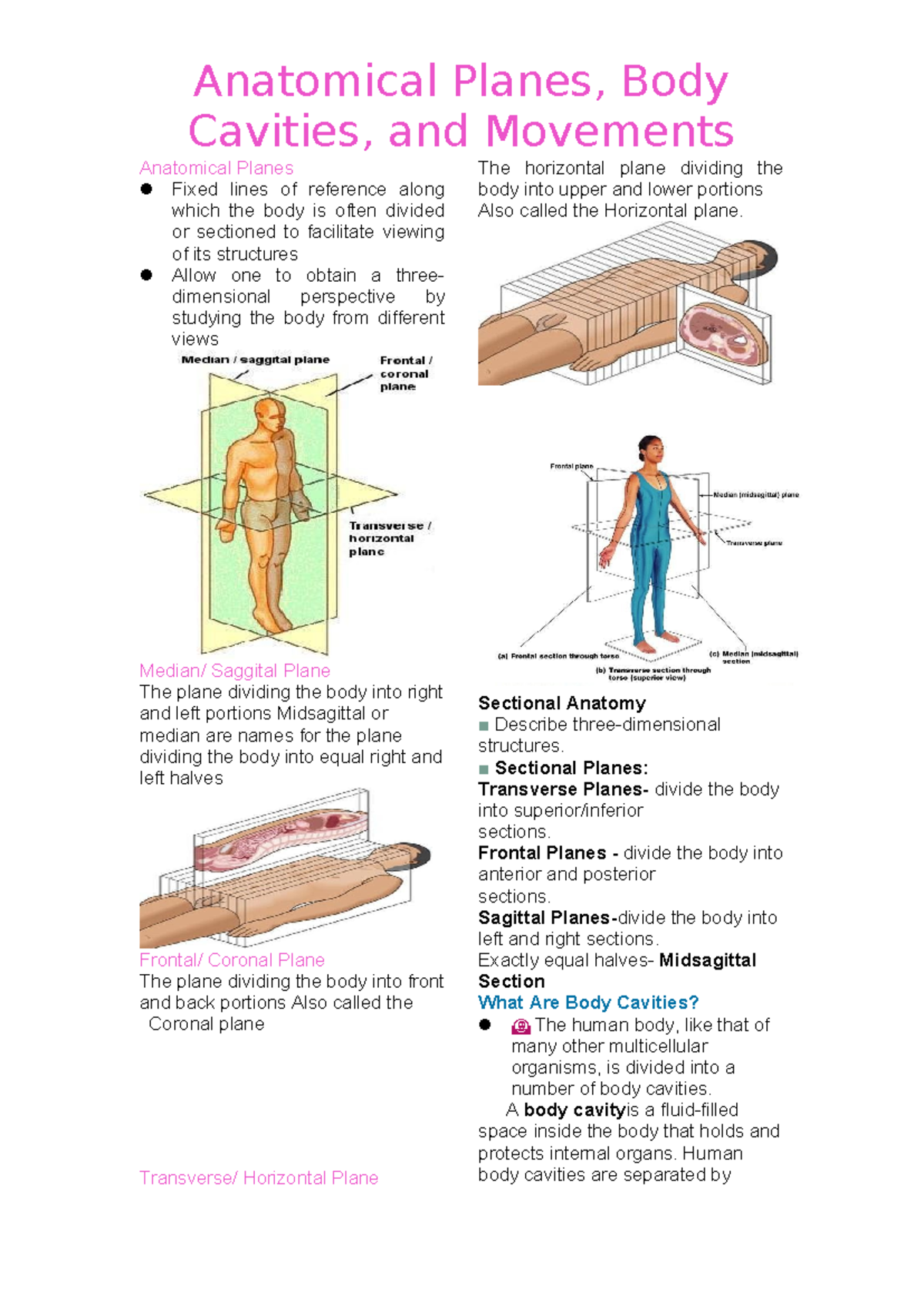 Lesson 1 Continuation Reviewer - Cavities, and Movements Anatomical ...