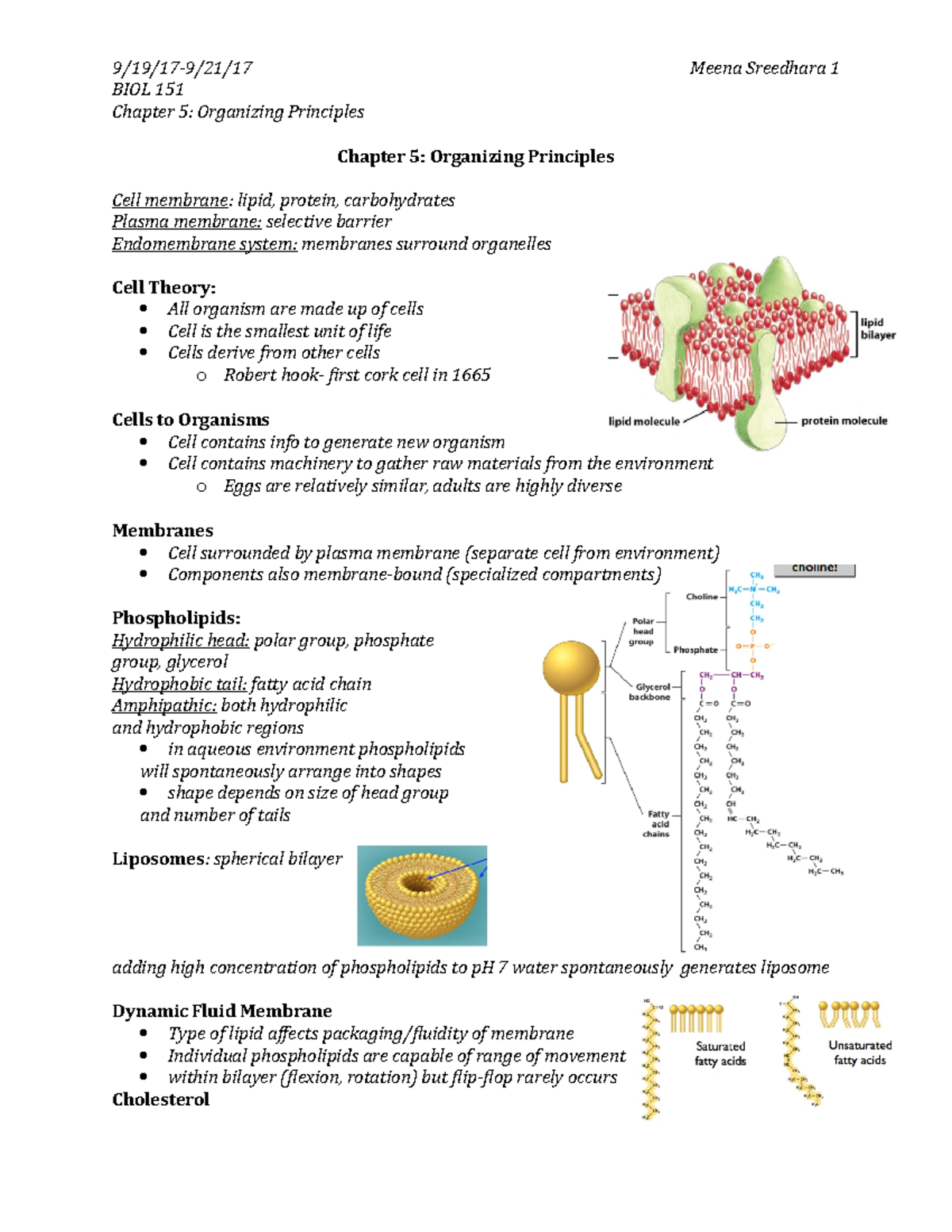 BIOL 151 Chapter 5 Lecture Notes - 9/19/17-9/21/17 BIOL 151 Chapter 5 ...