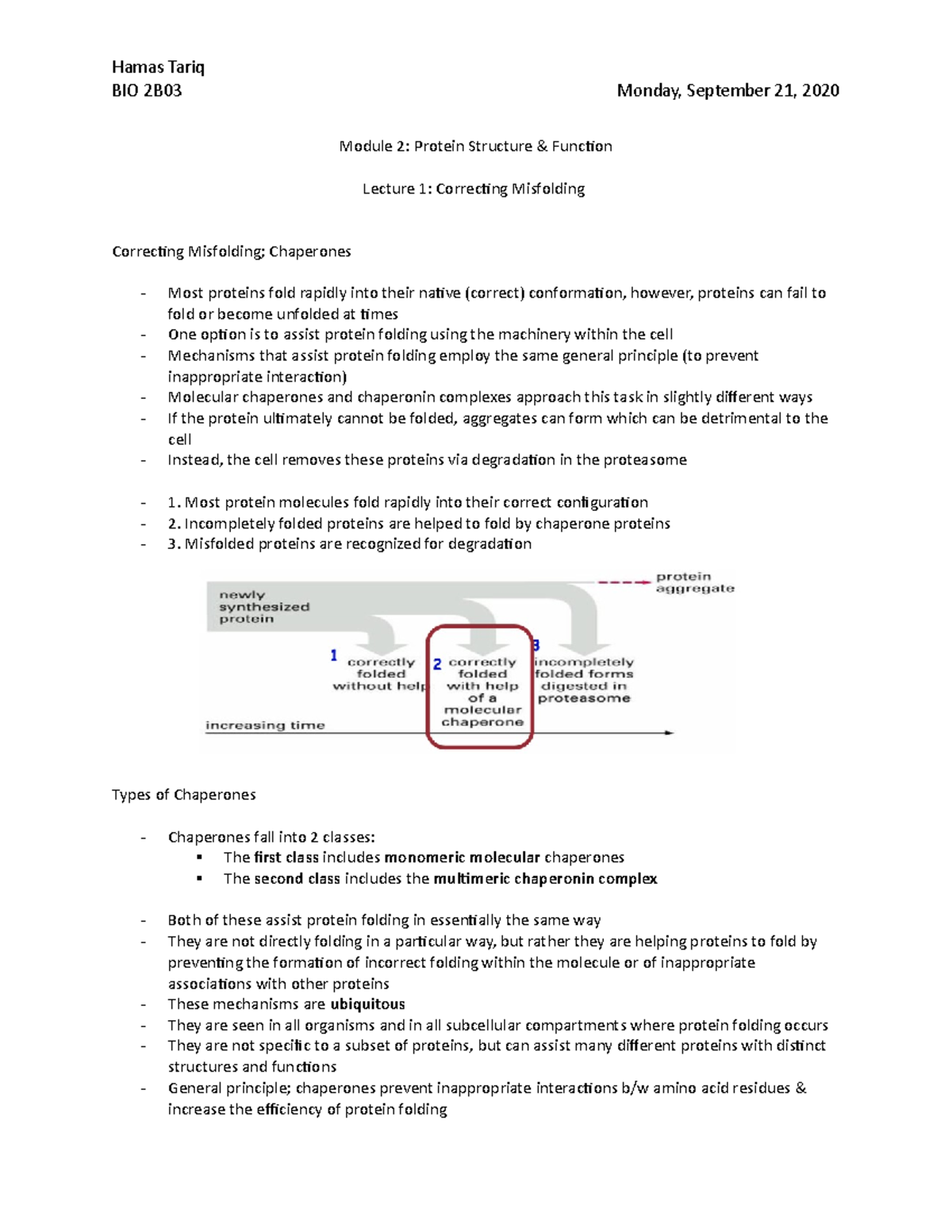 M2L1 - Protein Structure & Function - Hamas Tariq BIO 2B03 Monday ...