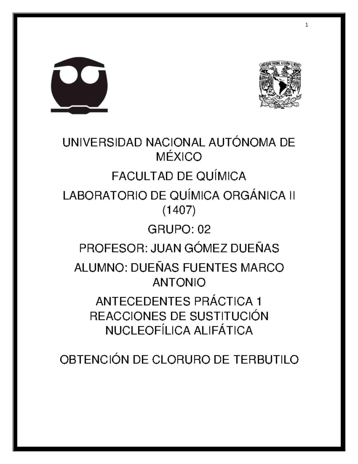 REACCIONES DE SUSTITUCIÓN NUCLEOFÍLICA ALIFÁTICA OBTENCIÓN DE CLORURO ...