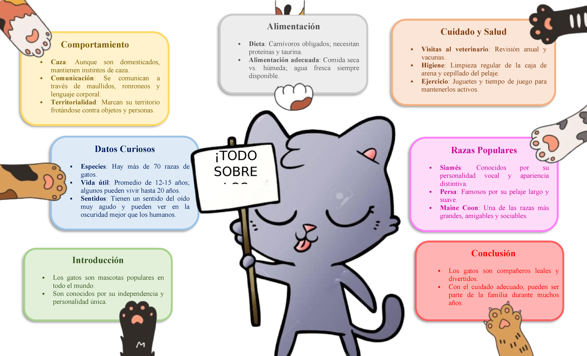 Infografia De Los Gatos Introducción Los Gatos Son Mascotas Populares