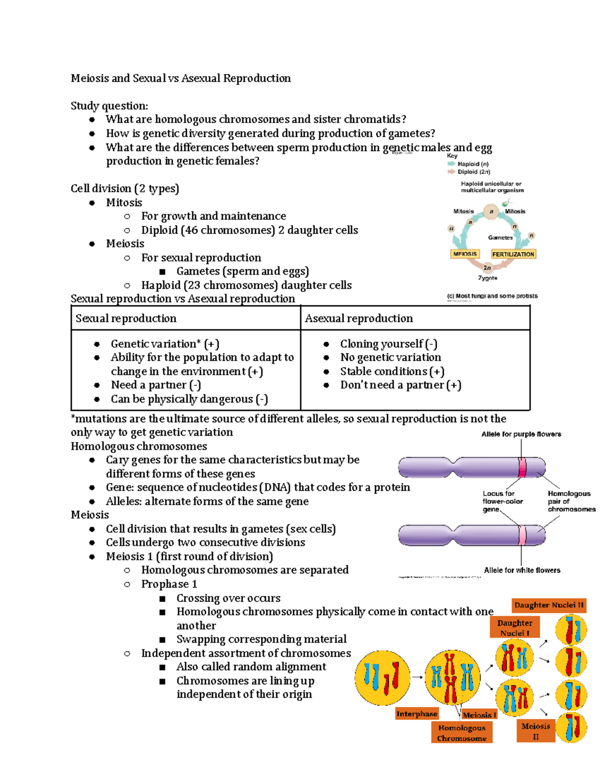 Meiosis and sexual vs asexual reproduction - BIOL 125 - Studocu