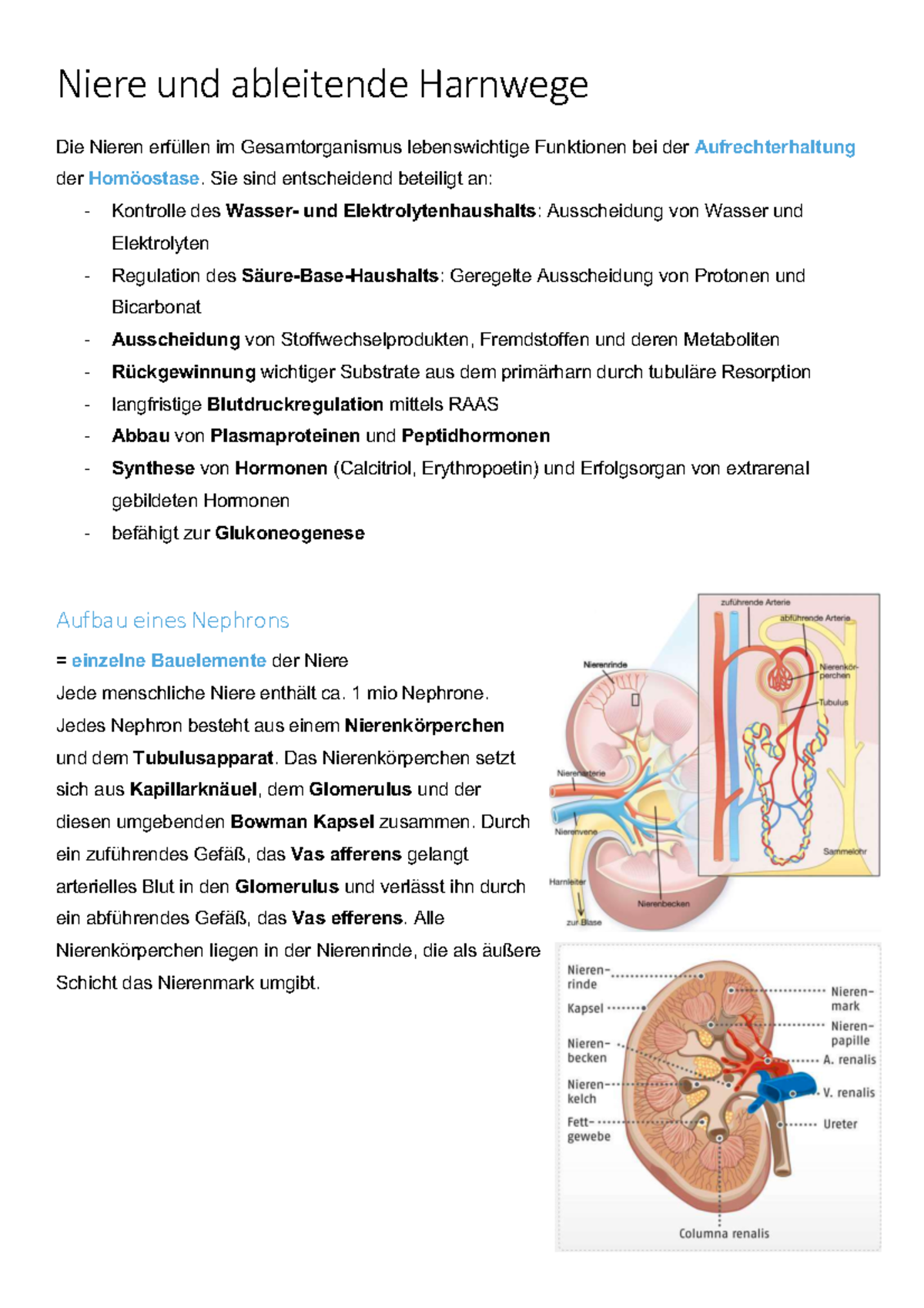 10 Niere und ableitende Harnwege - Pharmakologie und Toxikologie II ...