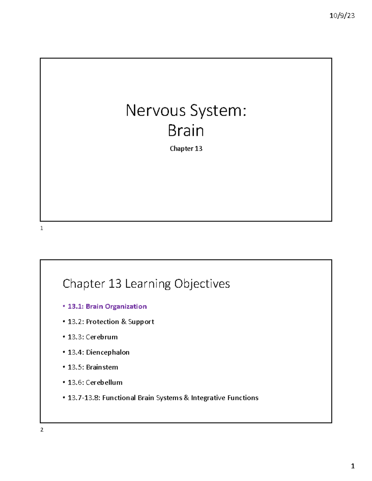BMS 250 W23 Ch 13 Lecture - For Student Notes - Nervous System: Brain ...