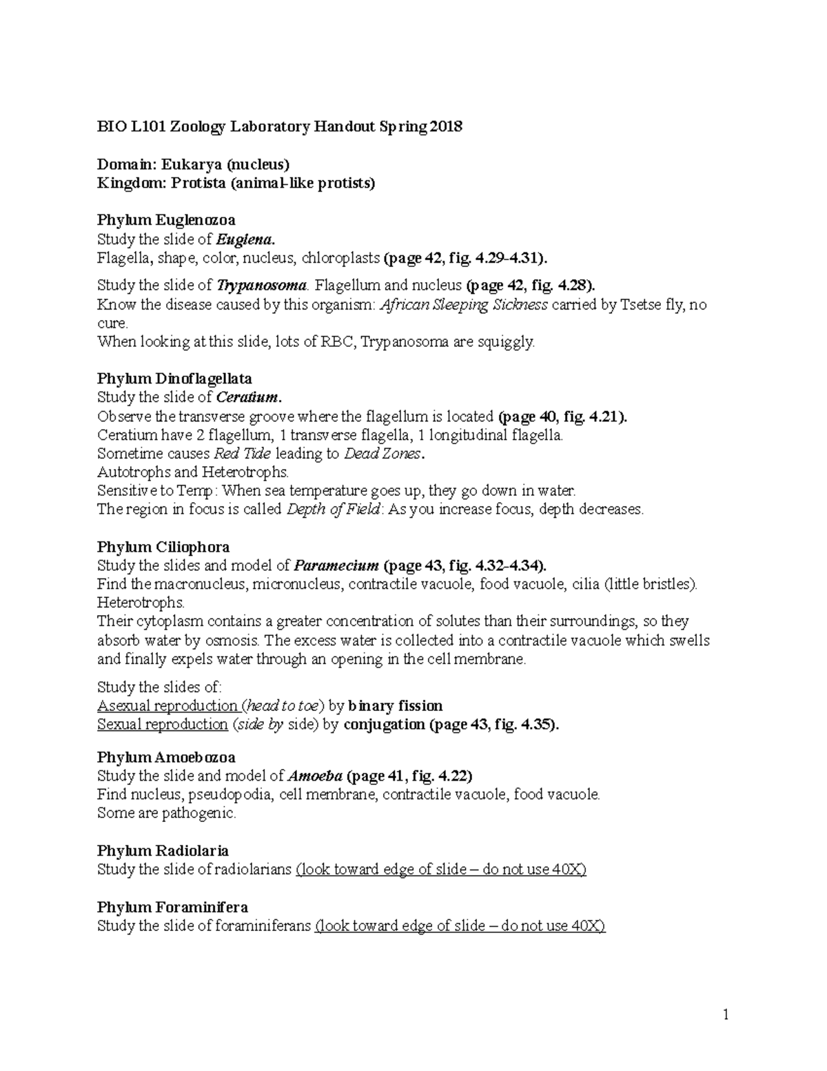 BIOL101 Zoology LAB Handouts - BIO L101 Zoology Laboratory Handout ...