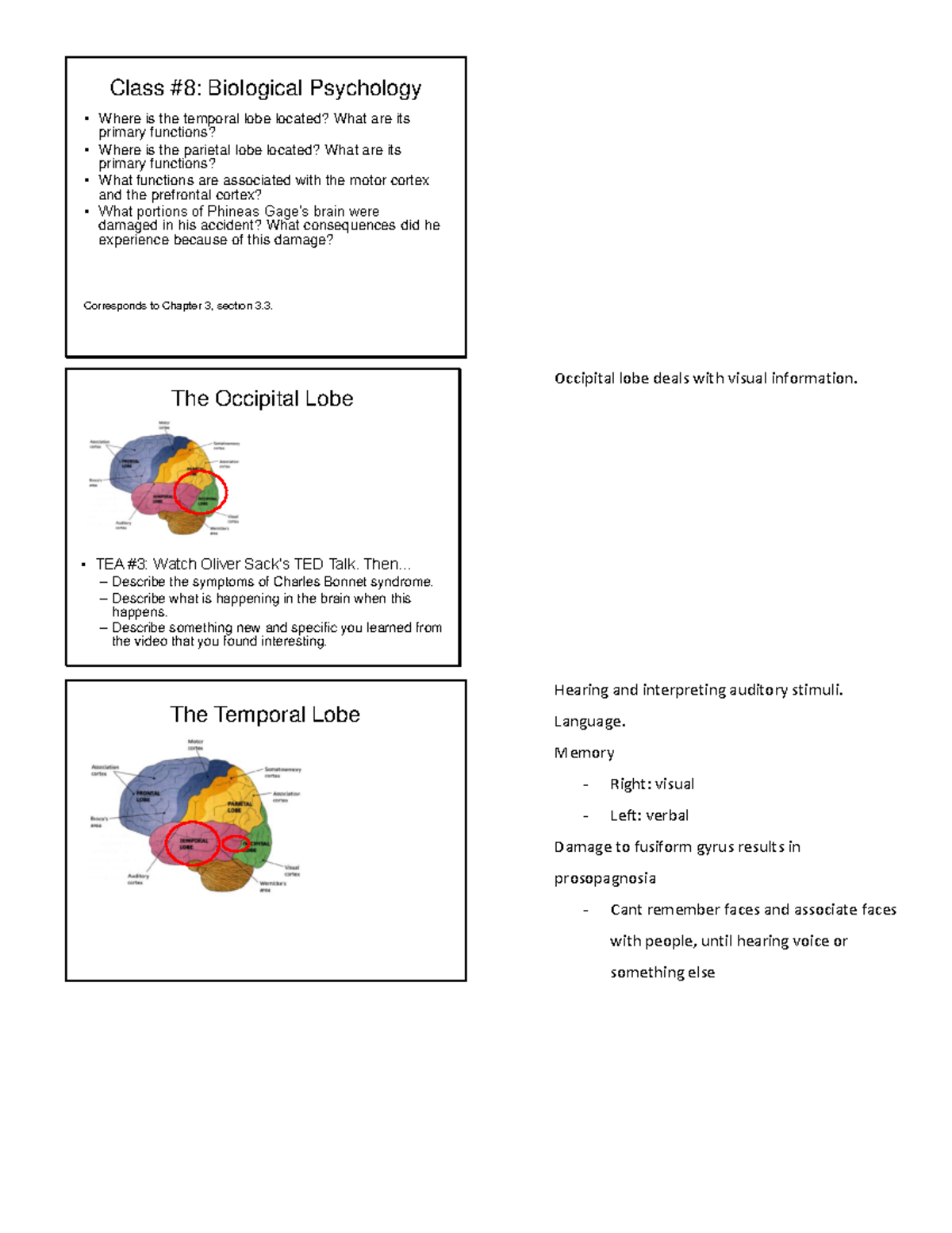 Class#8Note Taking - introductory psychology - Class #8: Biological ...