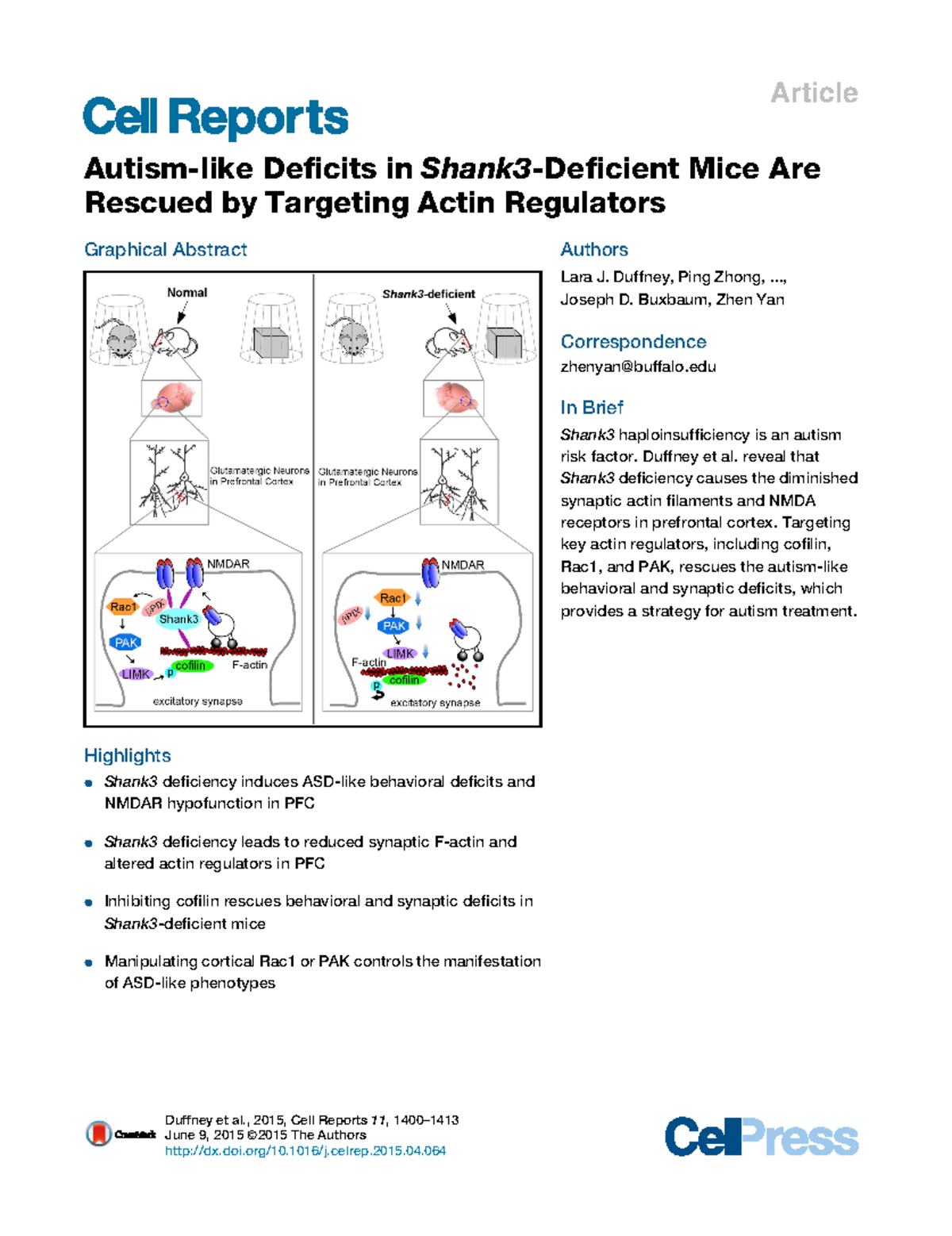 Shank 3, autisim and actin dynamics - Article Autism-like Deficits in ...