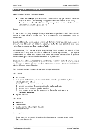 Week 12 Lab Answers - Week 12 Lab The digestive system is basically one ...