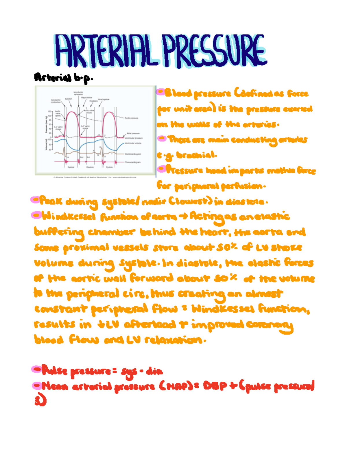 Control of arterial pressure (14) - ARTERIALPRESSURE Arterial b p Blood ...