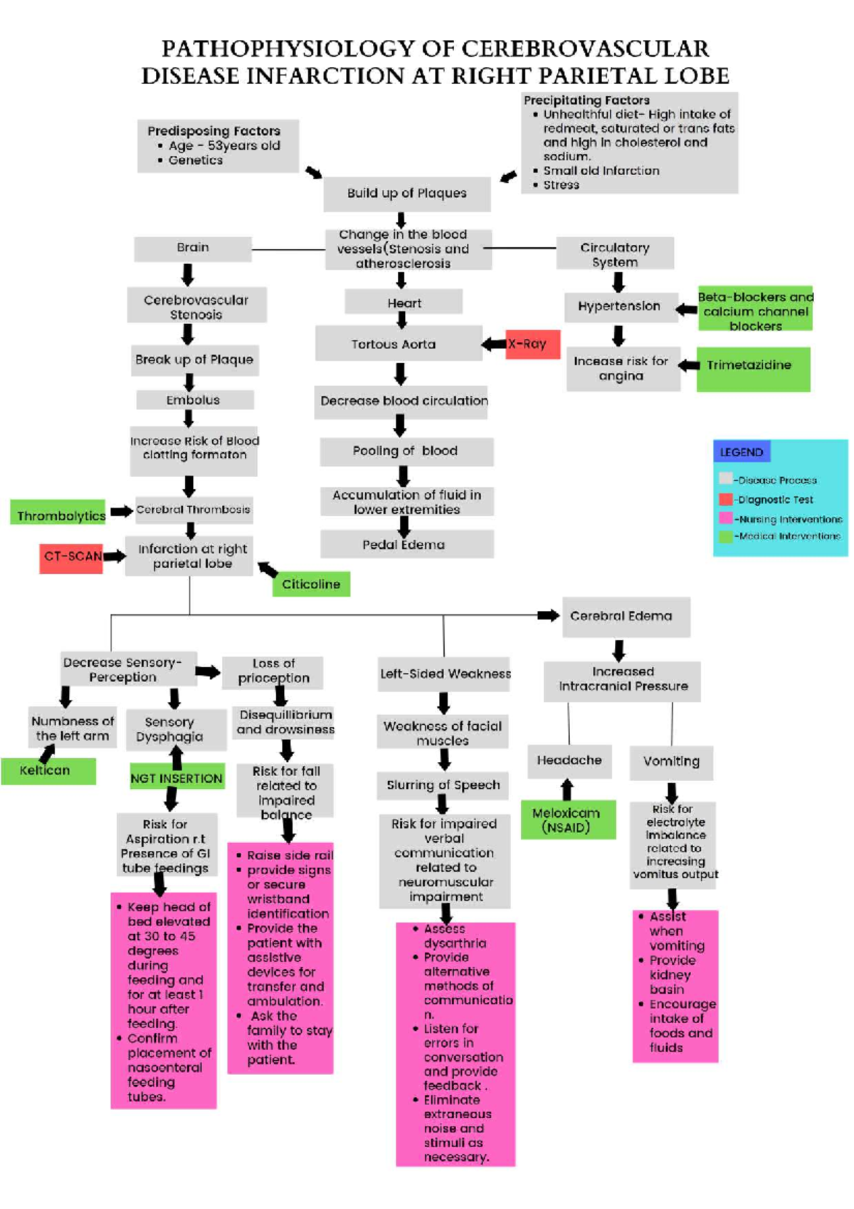 Pathophysiology of Cerebrovascular Diseaase Infarction at Right ...