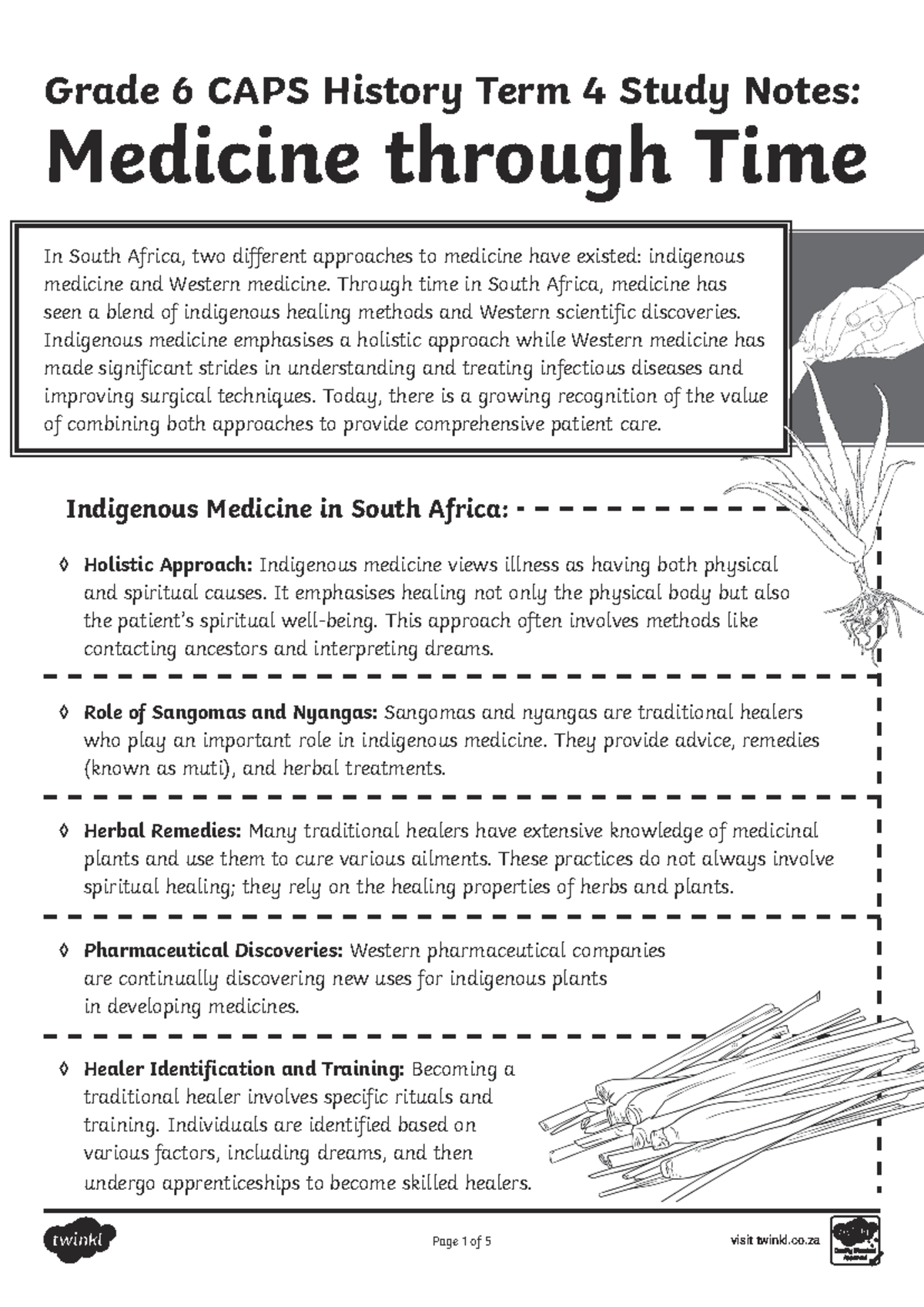 Medicine Through Time-BW - Grade 6 CAPS History Term 4 Study Notes ...