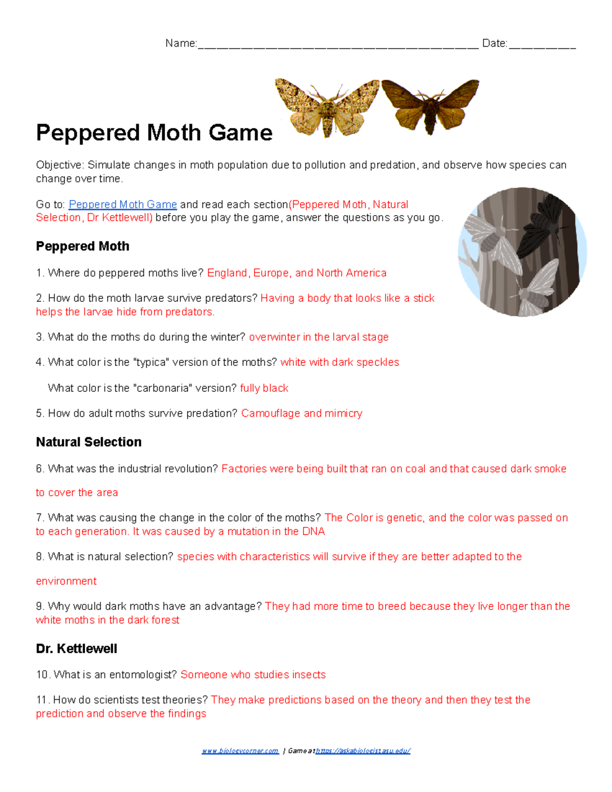 Sarah Myers - Peppered Moth - 7510418 - Name