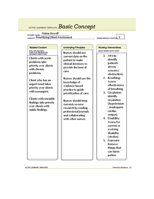 EM concept map - VSIM - vSim CONCEPT PLAN OF CAREEST. TIME: 30 MINUTES ...