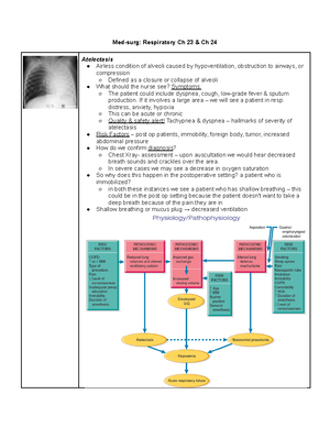 Chapter 52 Breast Disorders - Chapter 52 Assessment and Management of ...
