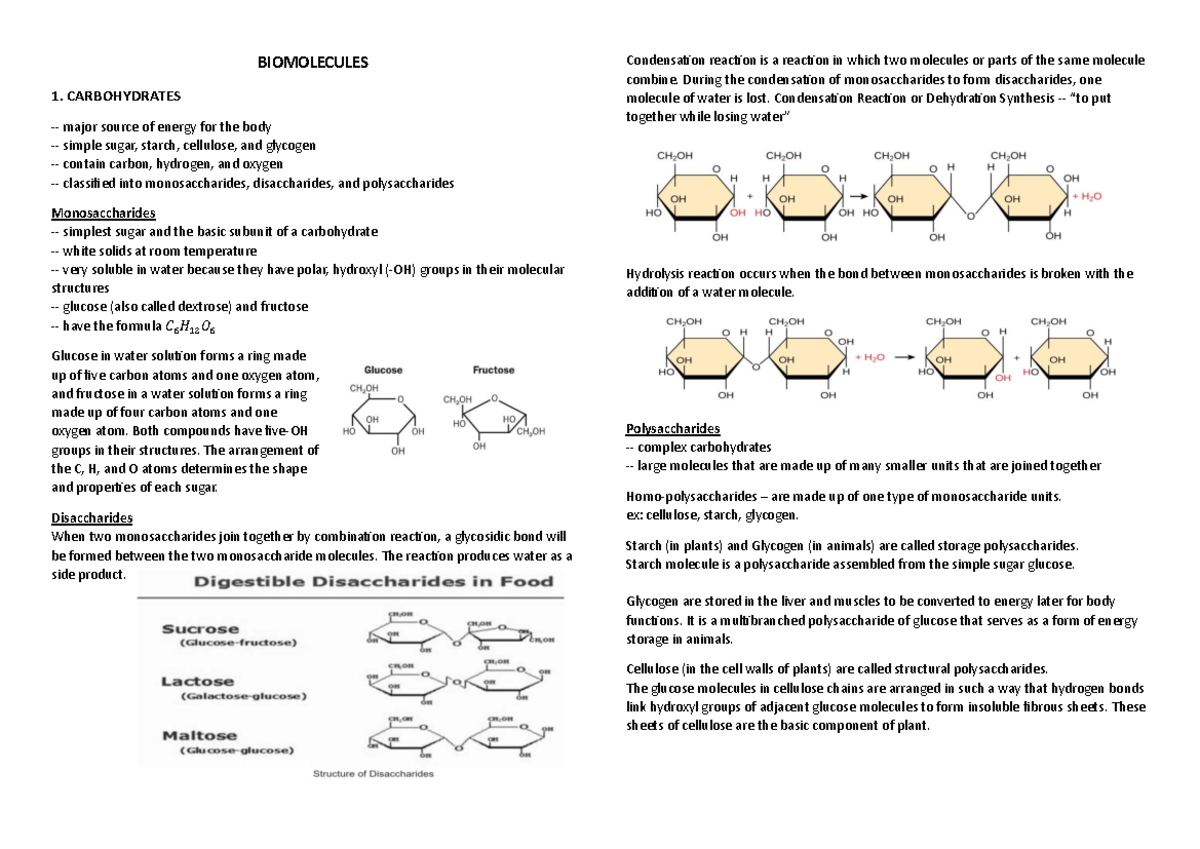 Reading-Material- Biomolecules - BIOMOLECULES 1. CARBOHYDRATES - major ...