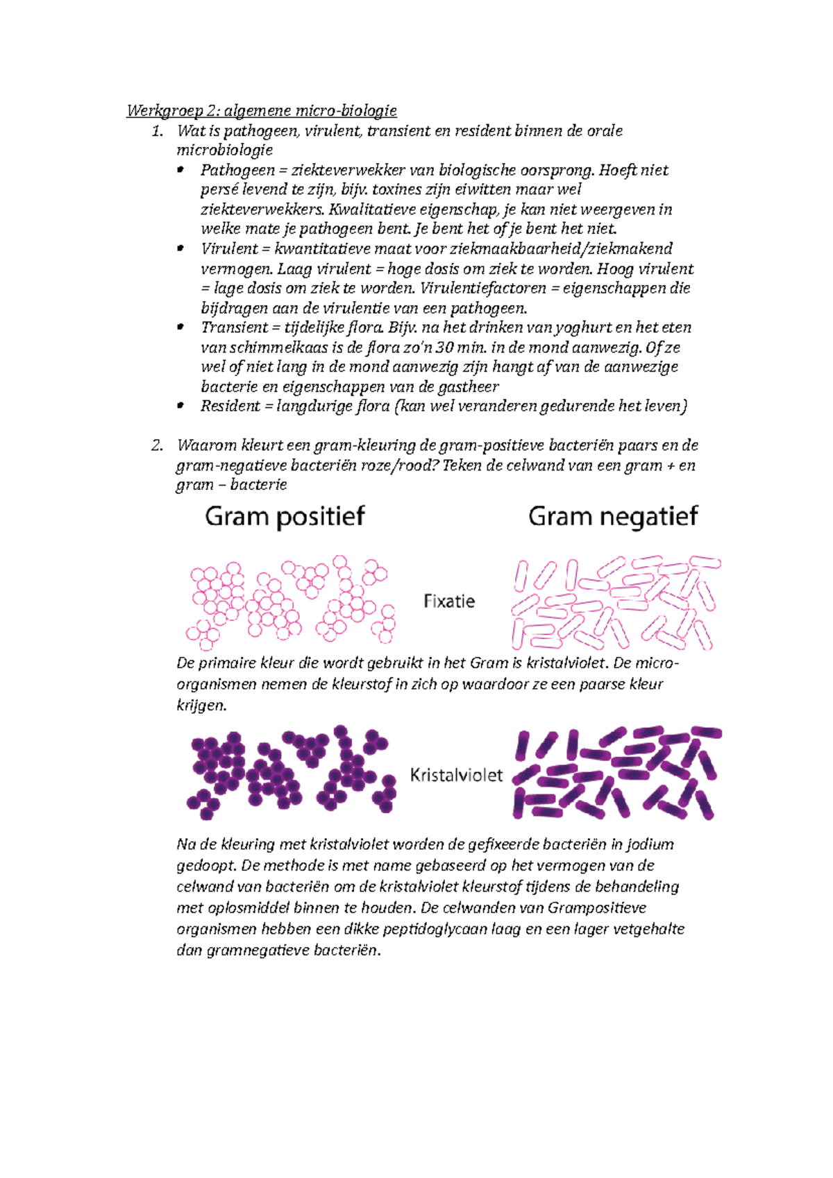 Werkgroep 2 (Algemene Micro - Biologie) + 3 (Hygiene en ...