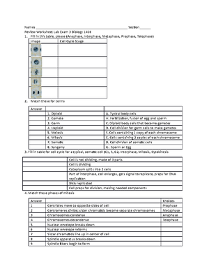 Review for Final Exam Blinn 1406 - Review Sheet for Biology 1406 Final ...