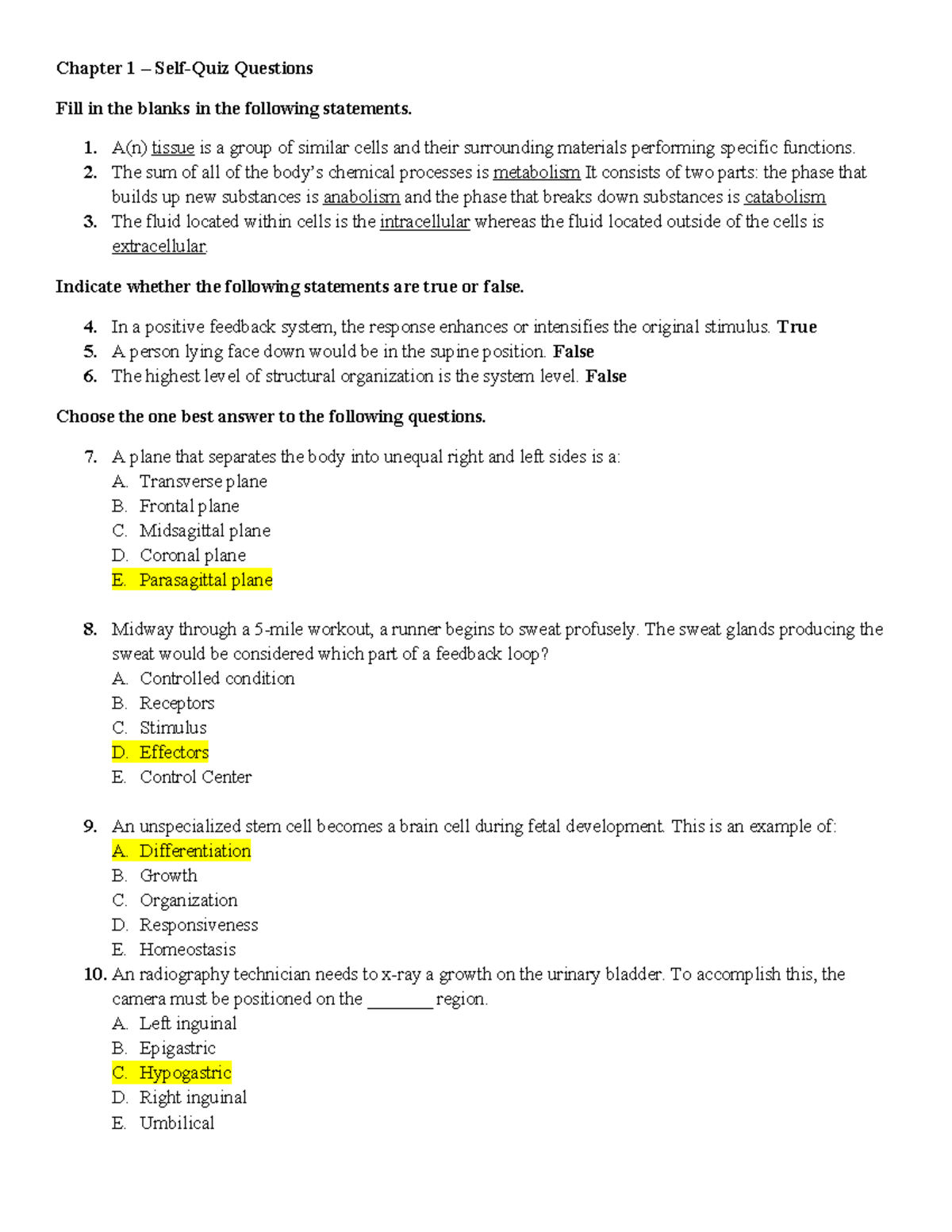 Chapter 1 Self-Quiz (7) - Chapter 1 – Self-Quiz Questions Fill in the ...