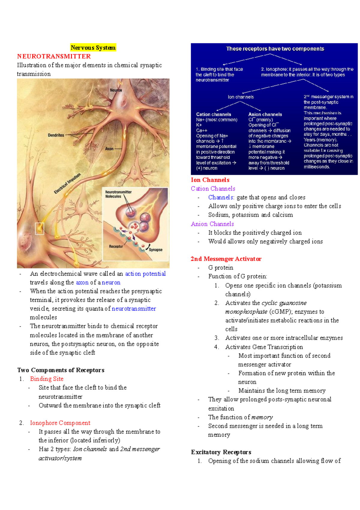 General Physiology - Nervous System NEUROTRANSMITTER Illustration of ...