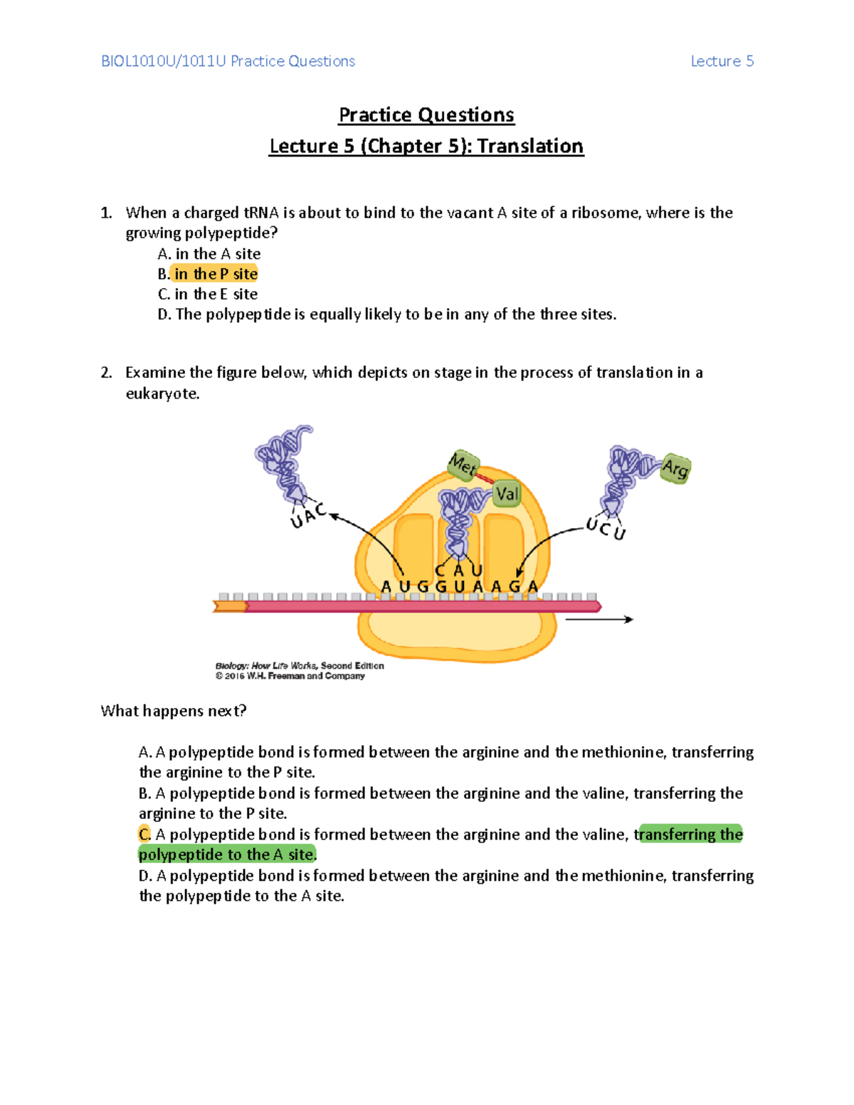 BIOL1010 1011 Lecture 5 Practice Questions - BIOL1010U/1011U Practice Questions Lecture 5 ...