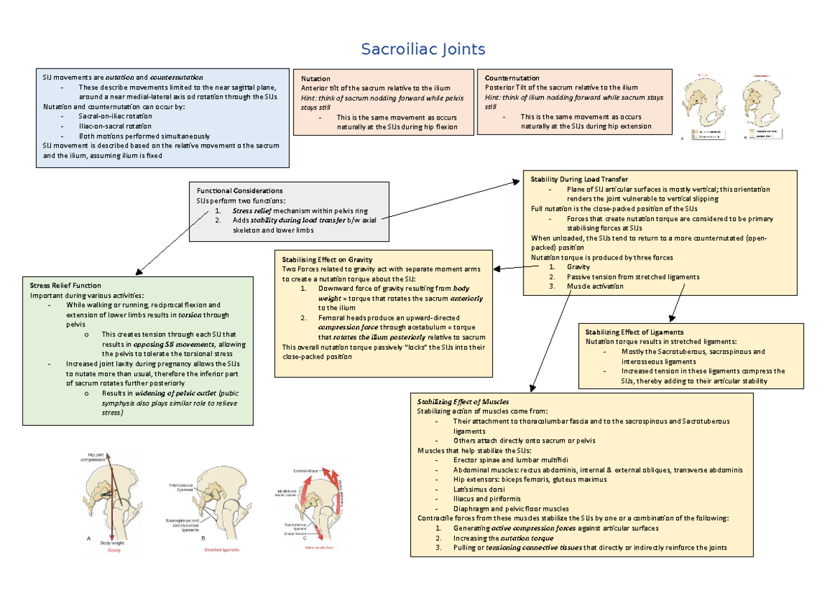 SIJs - Lecture content - Sacroiliac Joints SIJ movements are nutation ...