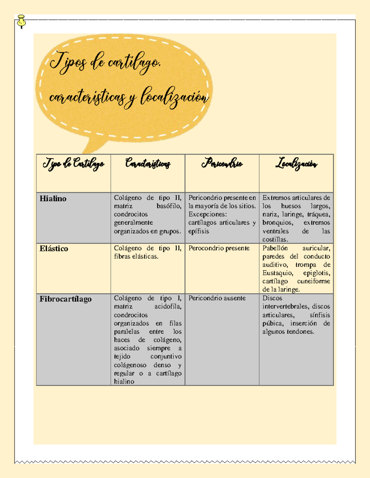 Tipos de cartilago - Tipo de Cartílago Características Pericondrio ... Tipos de cartilago - Tipo de Cartílago Características Pericondrio ...