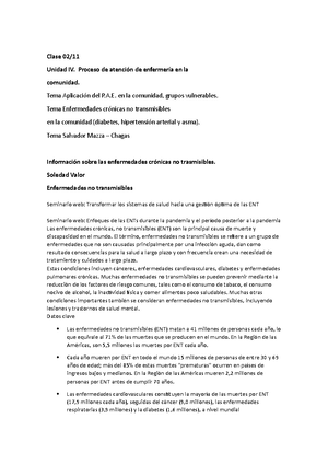 Informe de Nalsani Totto Trabajo - Bajo principios de Pacto Global ...