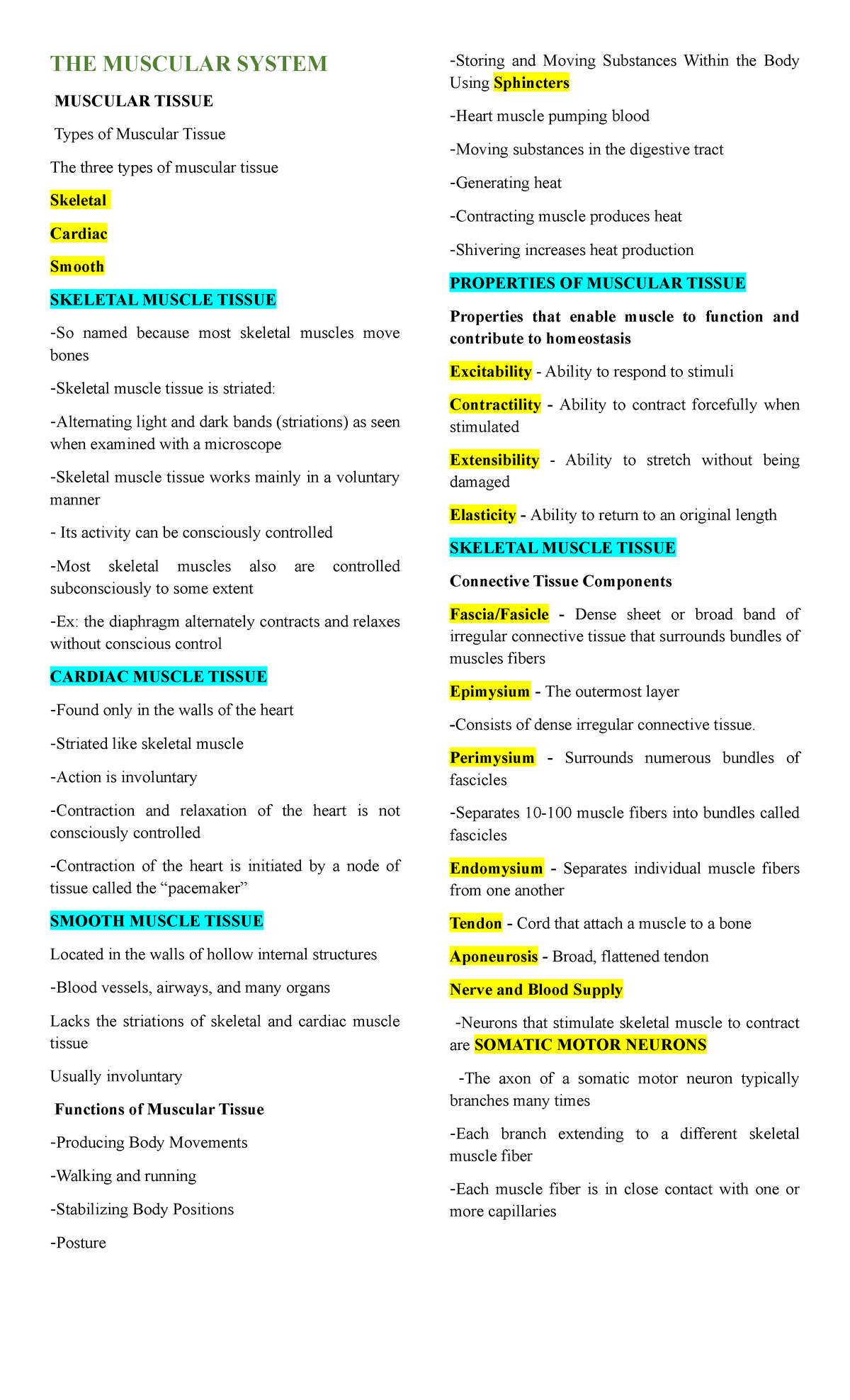 Muscle System Reviewer PPT - THE MUSCULAR SYSTEM MUSCULAR TISSUE Types ...