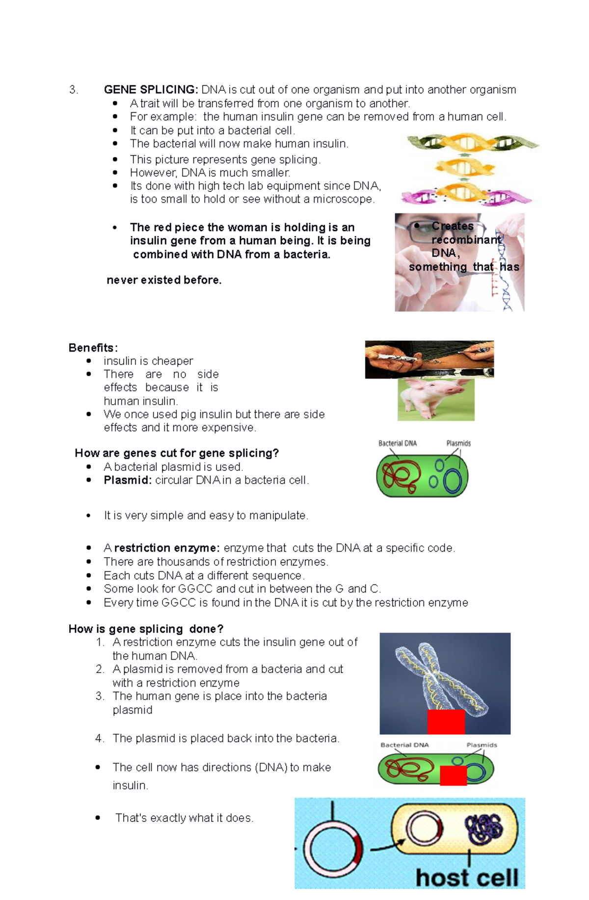 Genetic Engineering p.2 - 3. GENE SPLICING: DNA is cut out of one ...