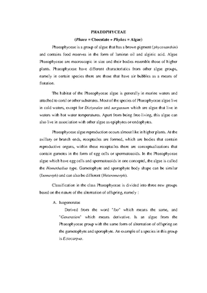 Botany Cryptogamae 03 Chrysophyceae - CHRYSOPHYCEAE (Chrysos = Gold ...