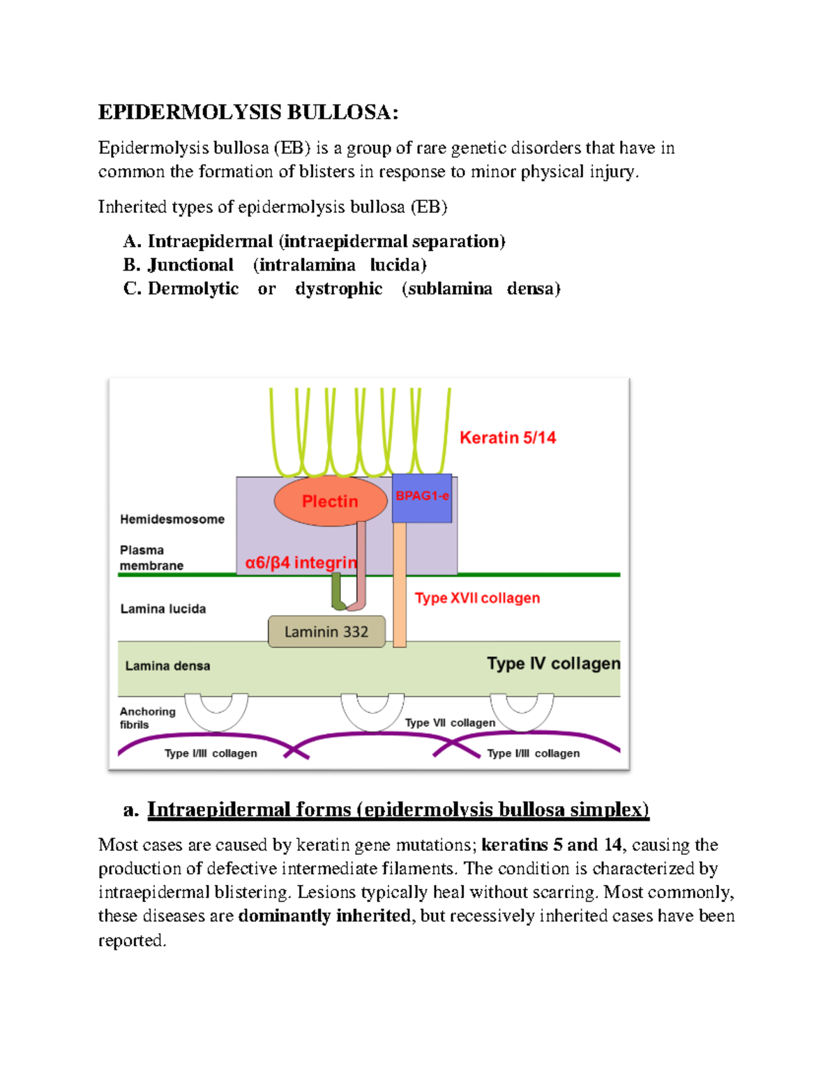 EB and NF - Copy - Surgery - EPIDERMOLYSIS BULLOSA: Epidermolysis ...