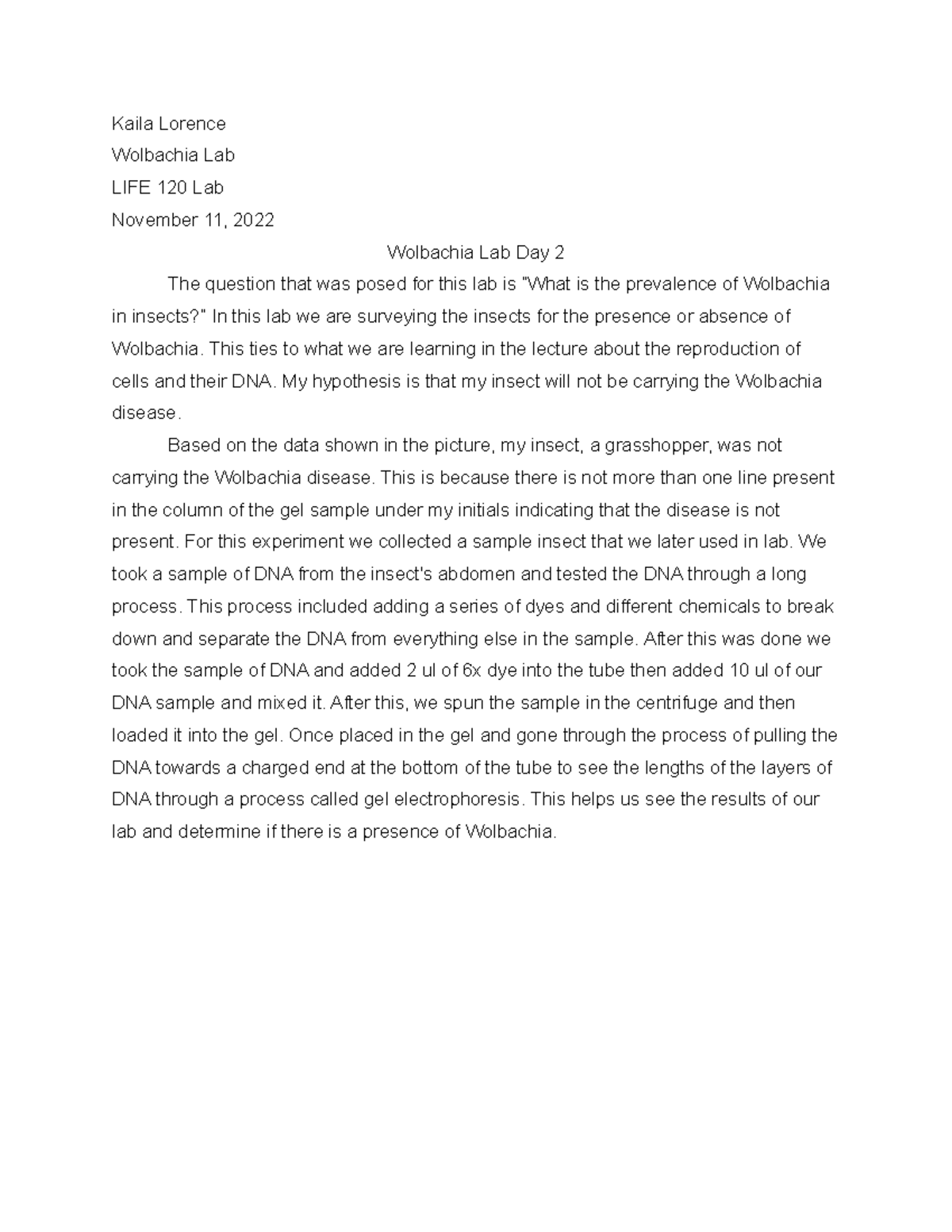 Wolbachia lab report - Dr. Brain Couch - Kaila Lorence Wolbachia Lab ...