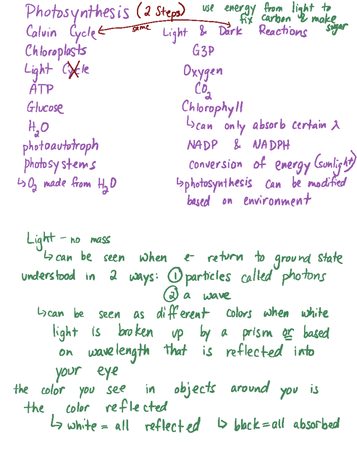 Photosynthesis APBio 1 - Photosynthesis 2 Steps use energy from light ...
