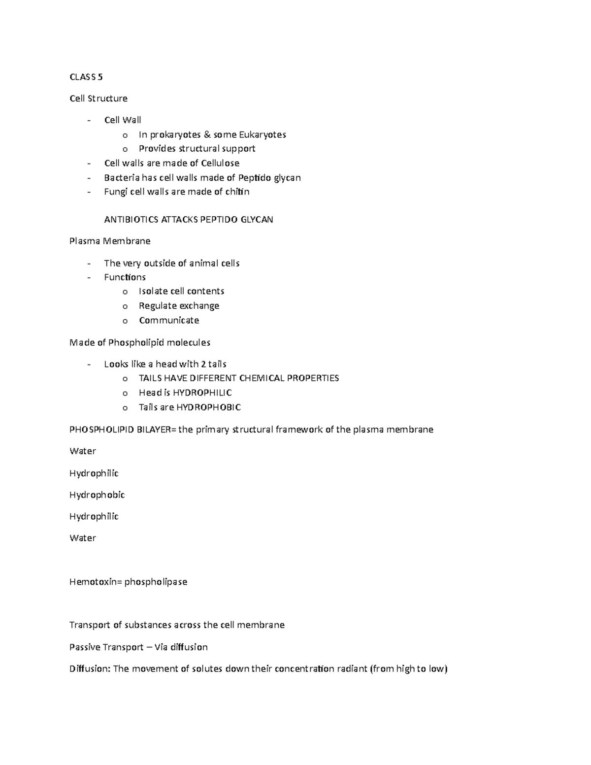 Biology 101 Class 5 Notes - CLASS 5 Cell Structure - Cell Wall o In ...