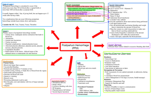 Concept Map Assignment Worksheet 346 #1 - NIGHTINGALE COLLEGE DIRECT ...