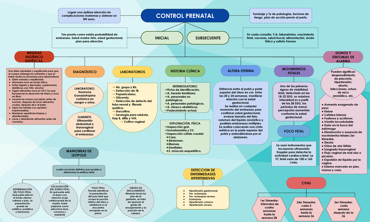 Semana 2 MAPA Conceptual 1 - CONTROL PRENATAL INICIAL Lograr una Ûptima atenciÛn sin ...