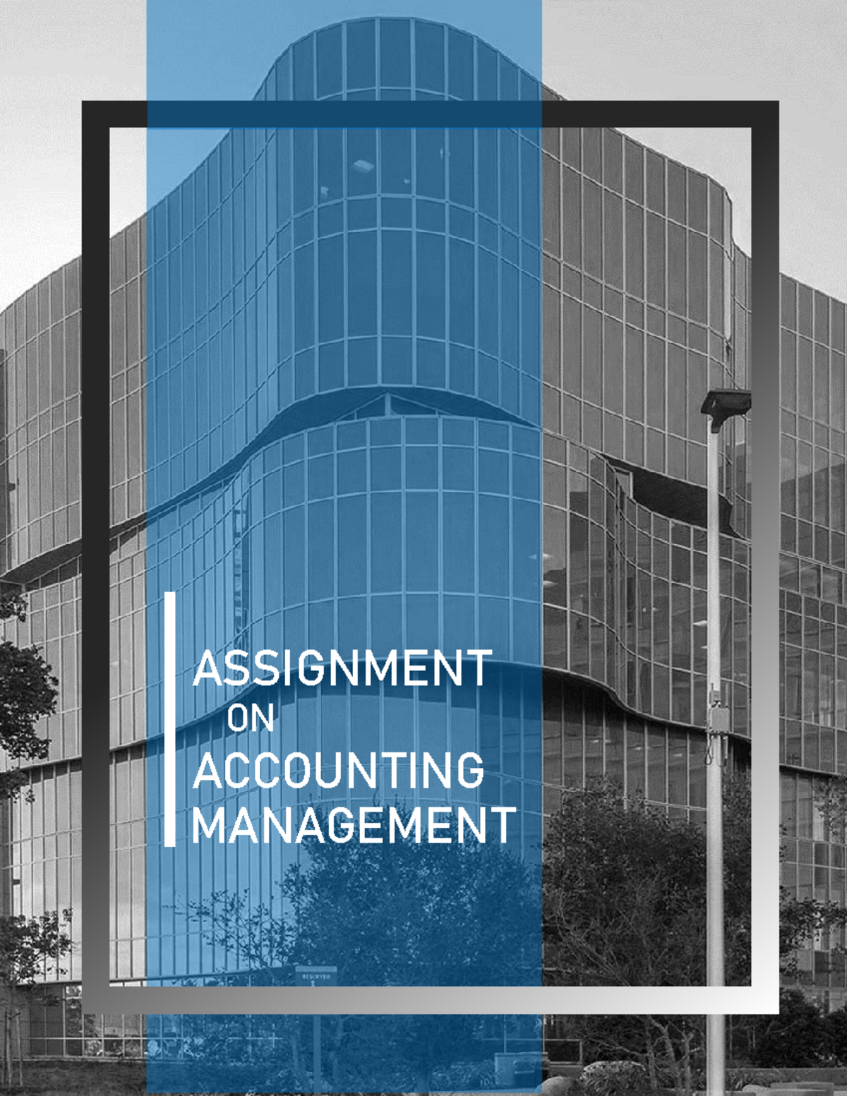 Mgt acn Final Assignment - MANAGEMENT ACCOUNTING ASSIGNMENT ON ...