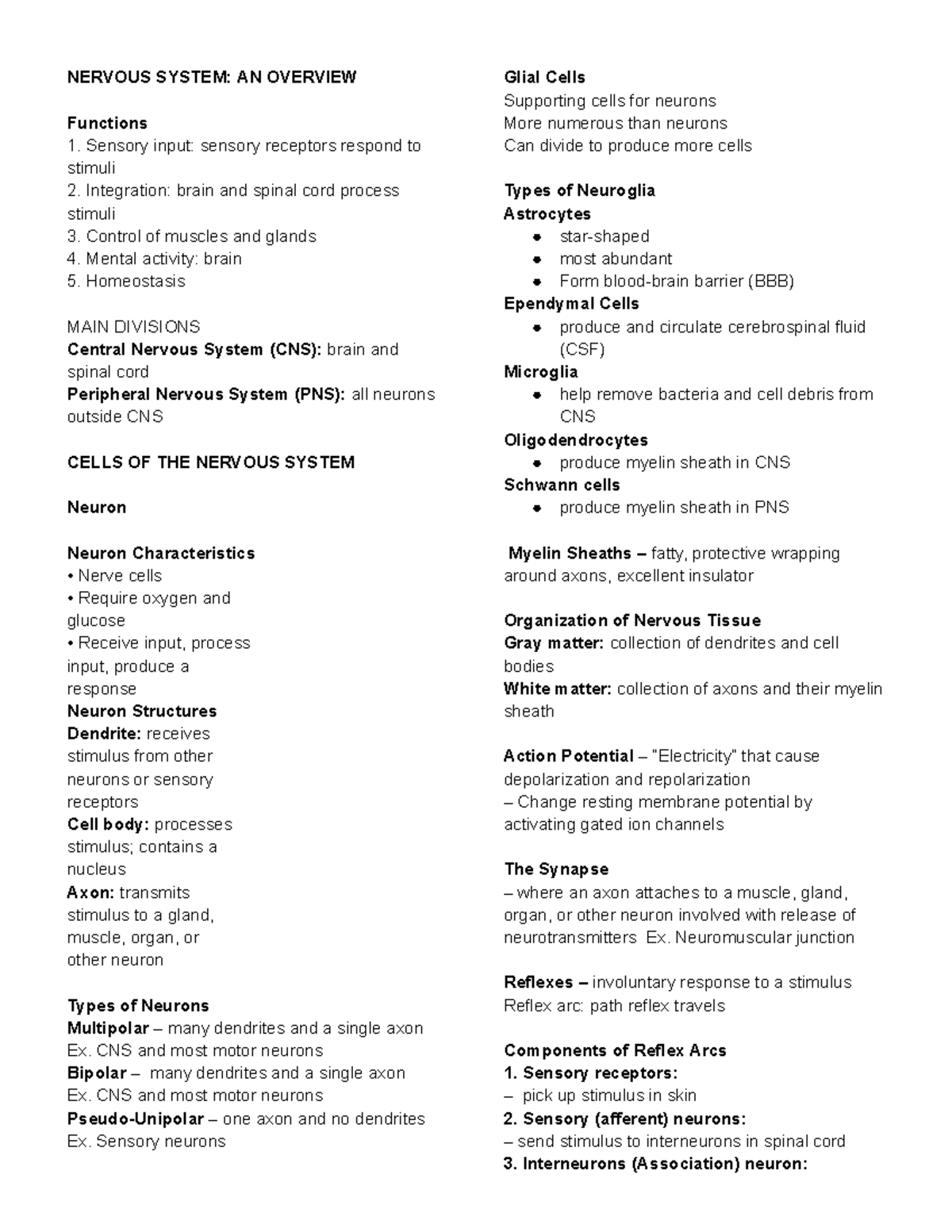 Nervous System AN Overview - NERVOUS SYSTEM: AN OVERVIEW Functions 1 ...