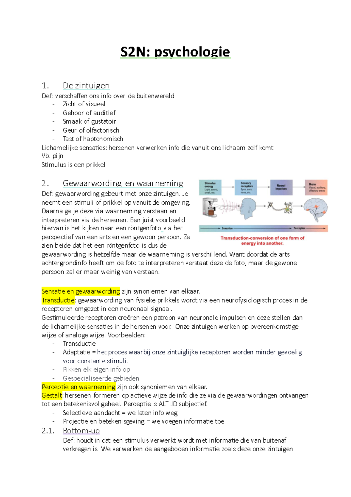 Psychologie - S2N: psychologie 1. De zintuigen Def: verschaffen ons info over de buitenwereld ...
