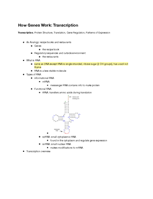 Genetics Unit 2 - UNIT TWO GENES & HOW THEY WORK an analogy genes ...
