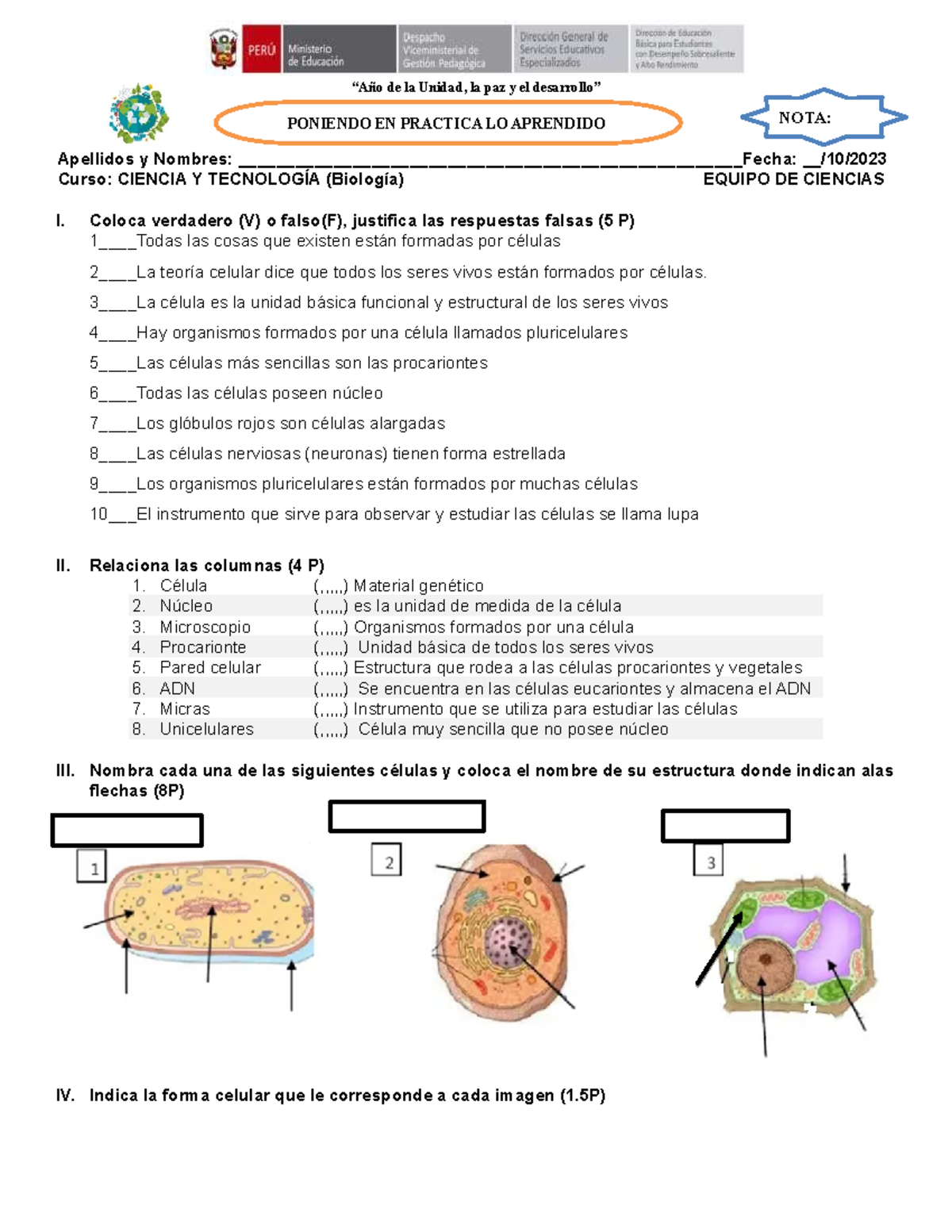 Evaluacion Celula - “Año de la Unidad, la paz y el desarrollo ...