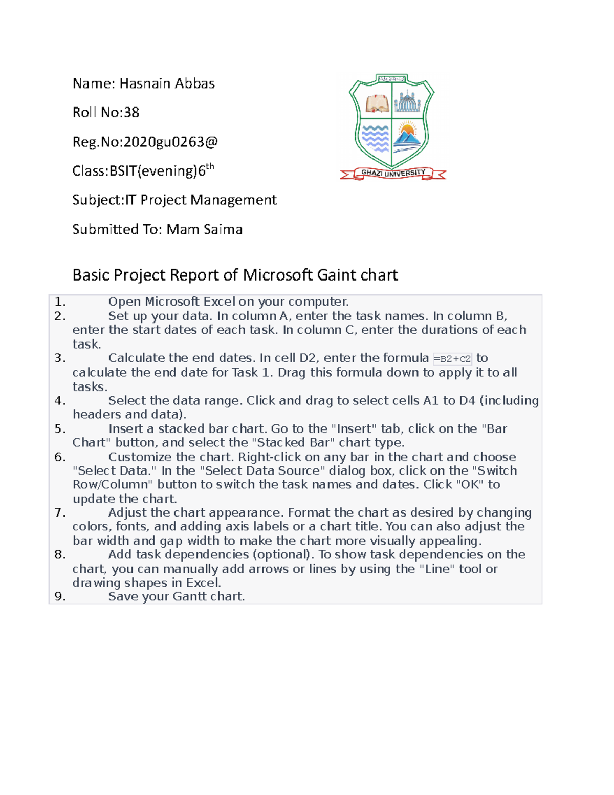 Gaint chart project report - Name: Hasnain Abbas Roll No: Reg ...