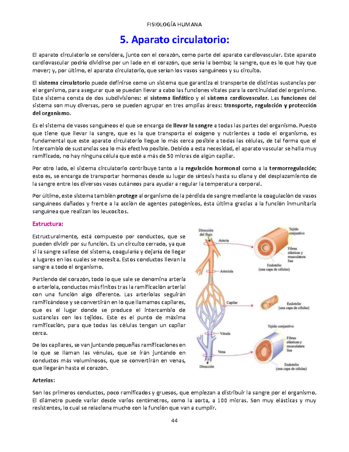 5. Aparato circulatorio - Warning: TT: undefined function: 32 Warning: TT: undefined function ...