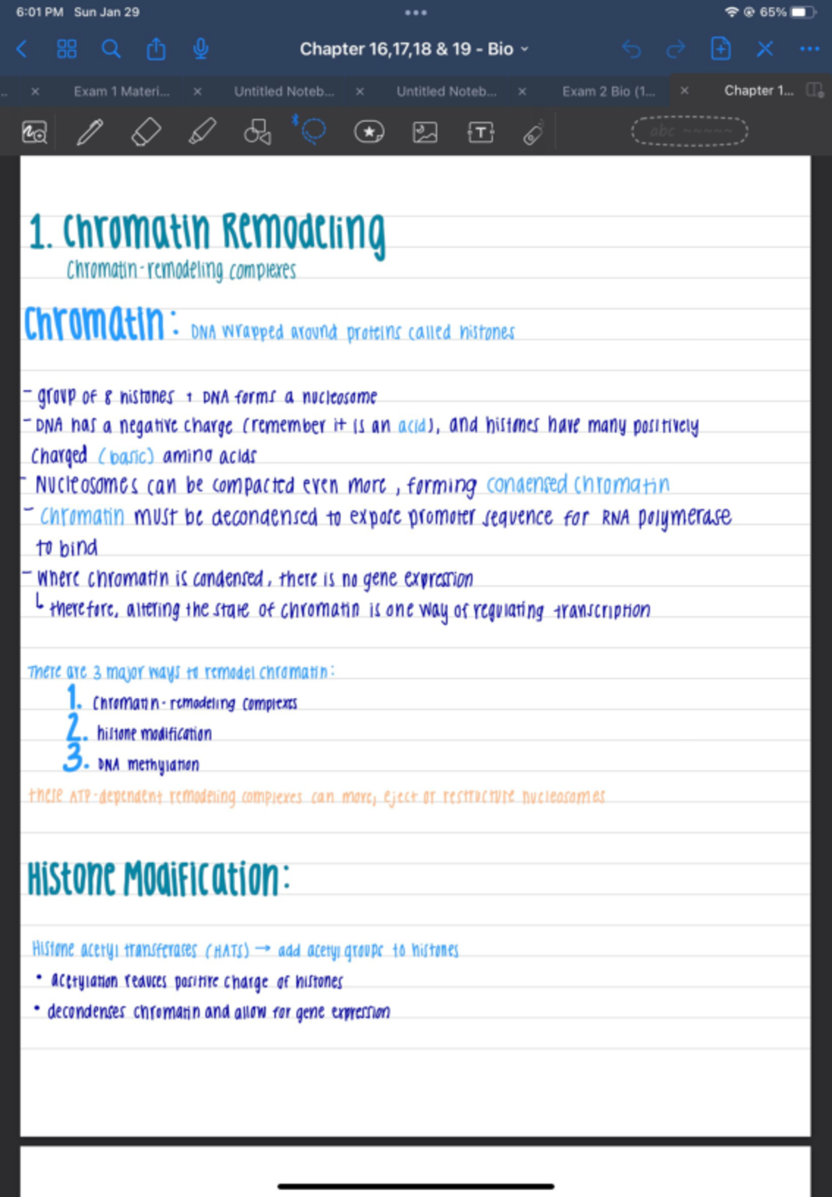 Chapter 19 Notes - BI 111 - Studocu