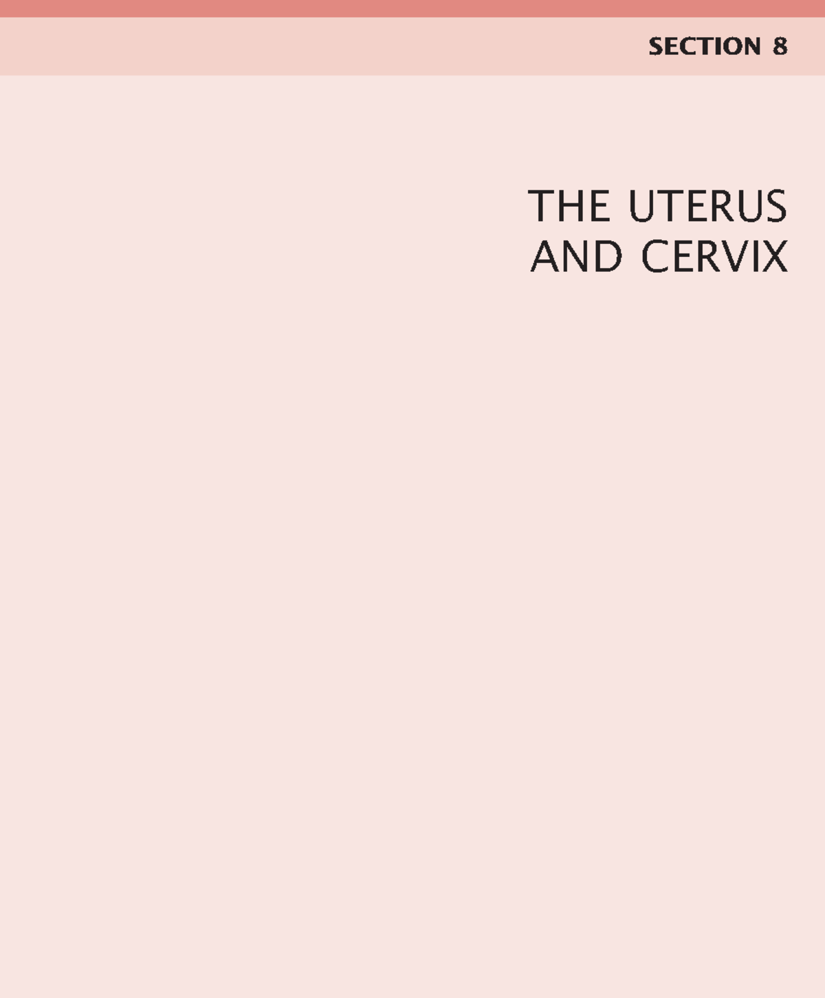 Netter Útero, trompas, ovarios - SECTION 8 THE UTERUS AND CERVIX Plate ...