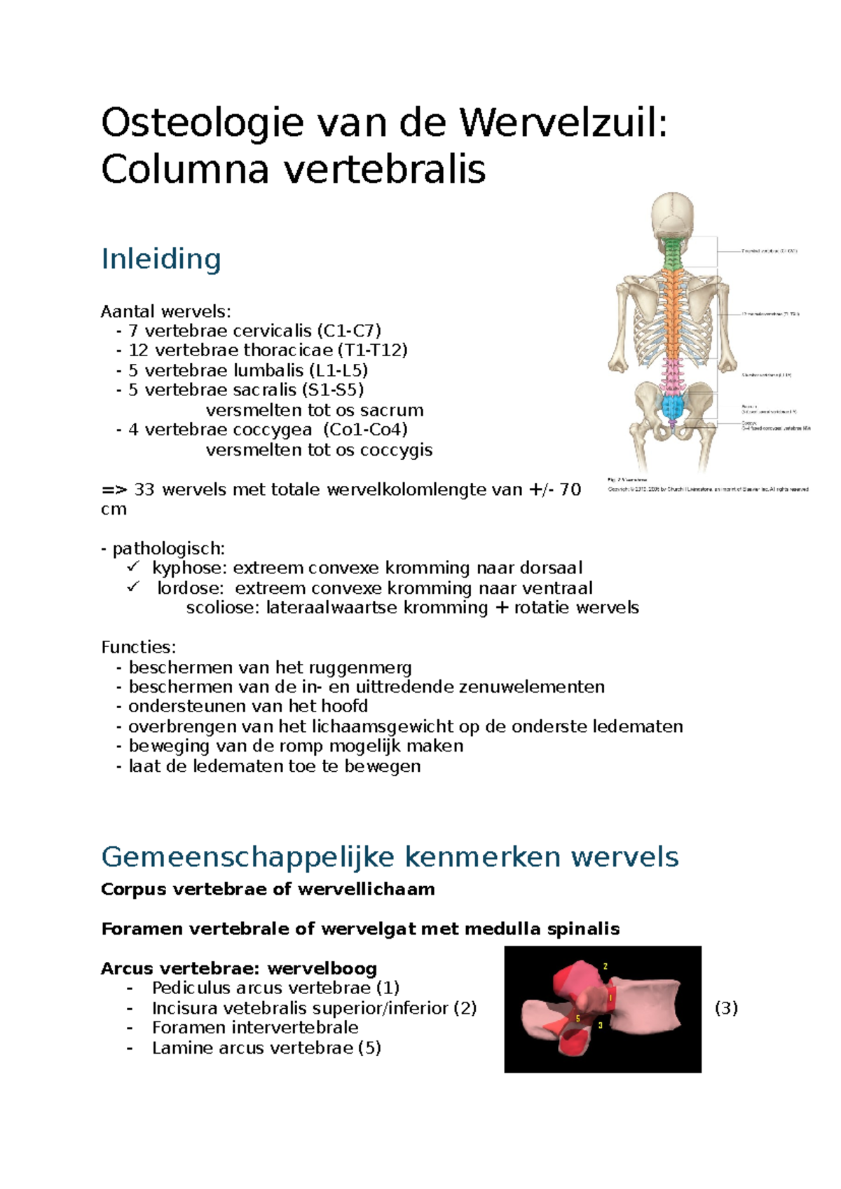1. osteologie RUG - Samenvatting Anatomie I en histologie - Osteologie ...