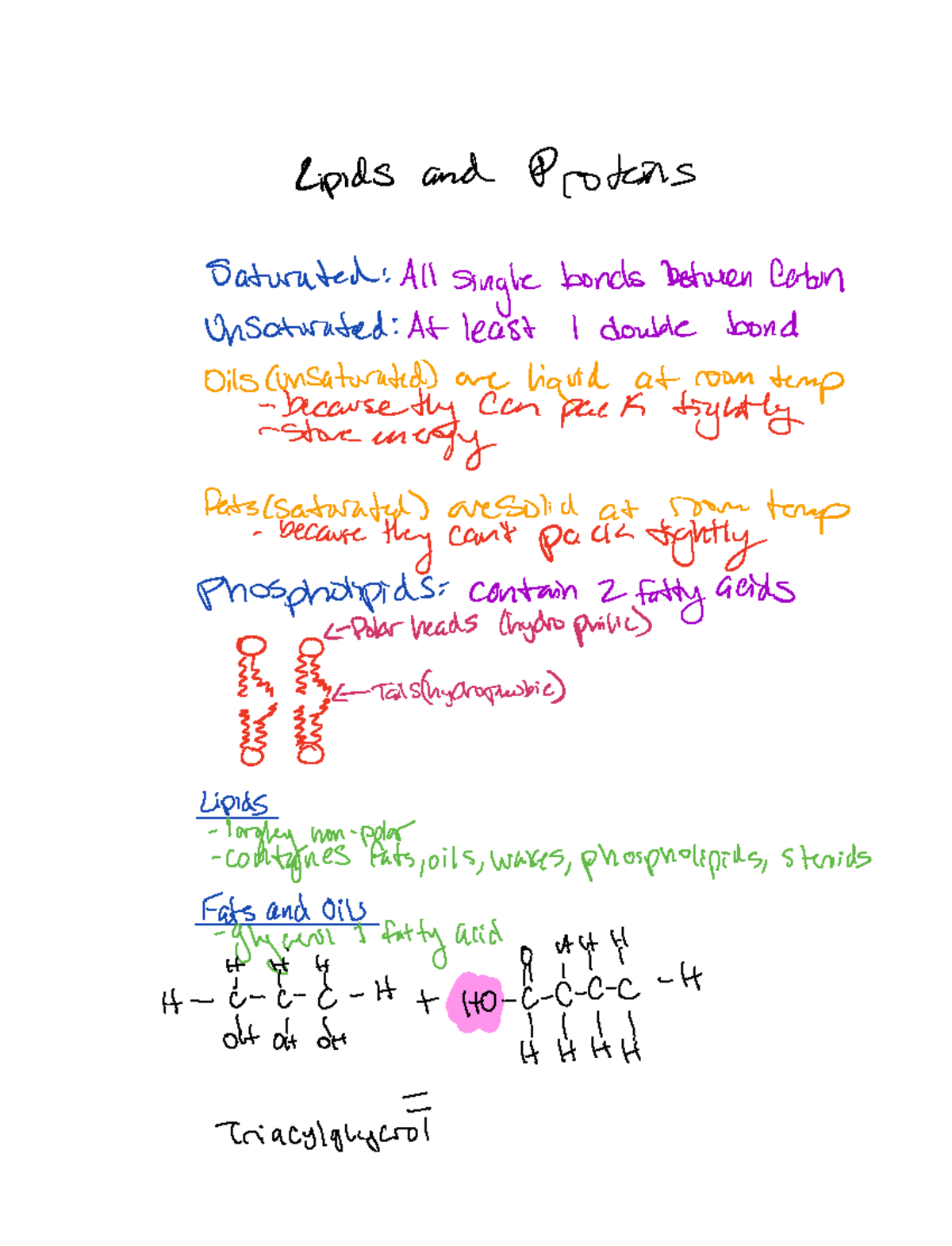 Lipids and Proteins - Notes from Dr. Gwen Strand - Lipids and Protons ...