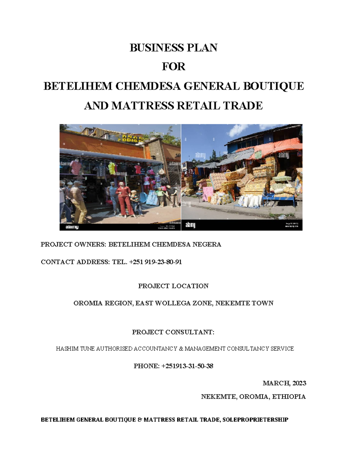 Business Plan Betelihem EDIT - BUSINESS PLAN FOR BETELIHEM CHEMDESA ...
