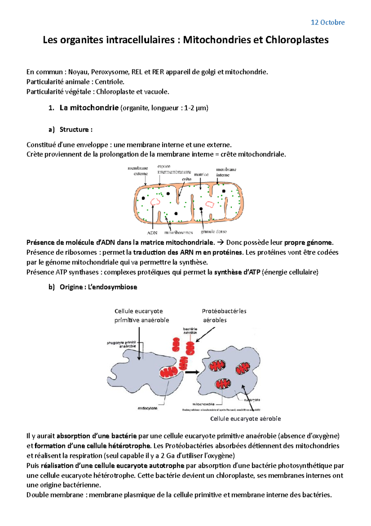 8. Chapitre 7 organite intracellulaire - 12 Octobre Les organites ...