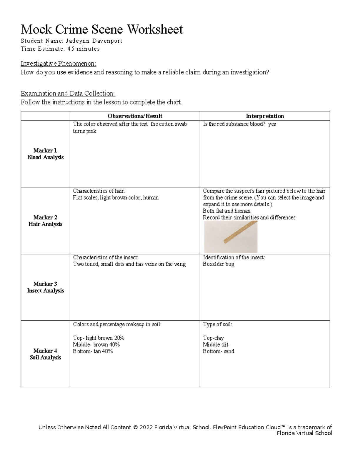 02 07 mock crime scene worksheet - Mock Crime Scene Worksheet Student ...